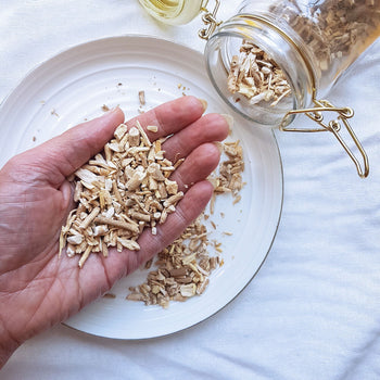 Ashwagandha: wat kan dit adaptogeen voor je doen? – High Vibeology